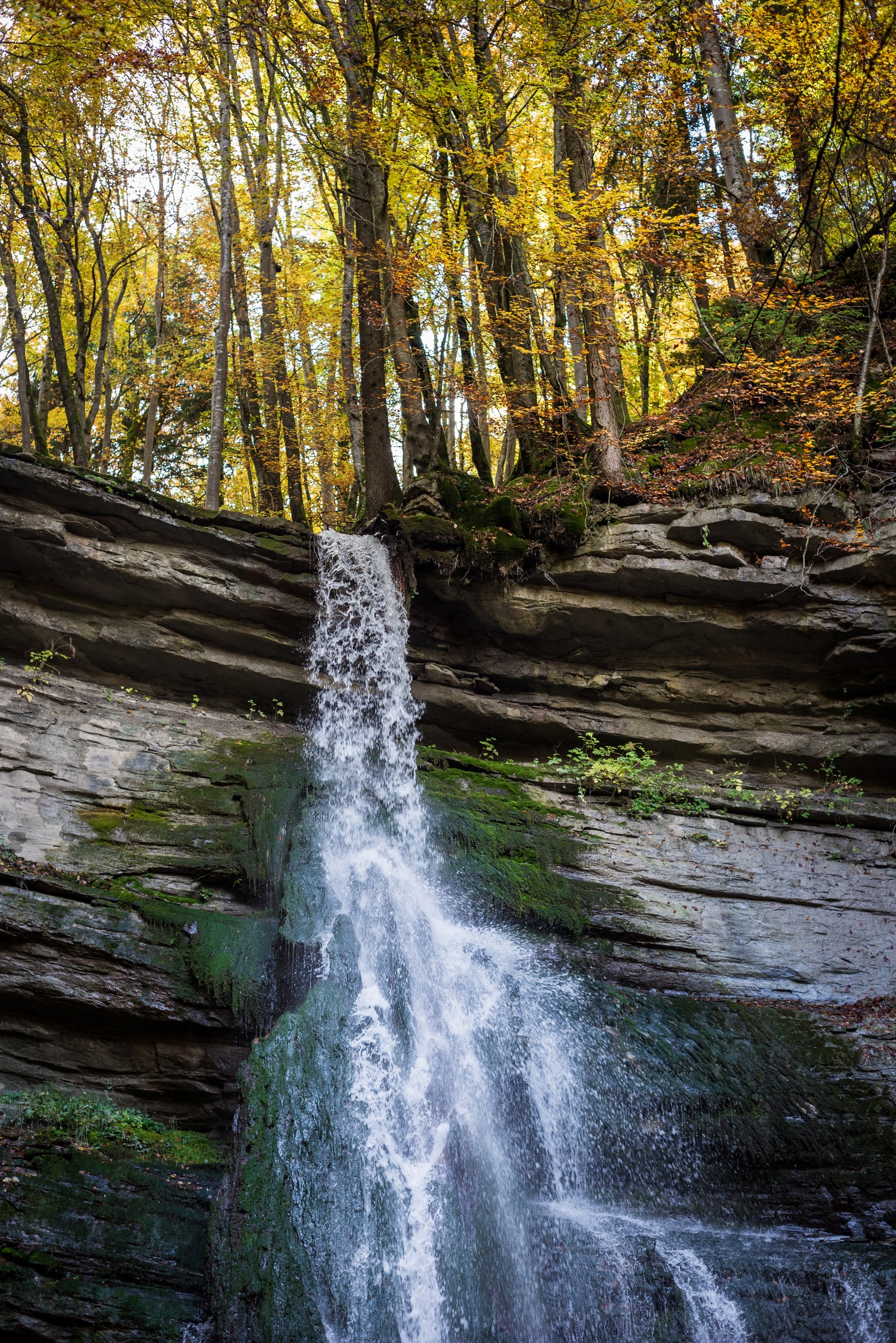 RANDONNÉES - Le Plateau des Petites Roches